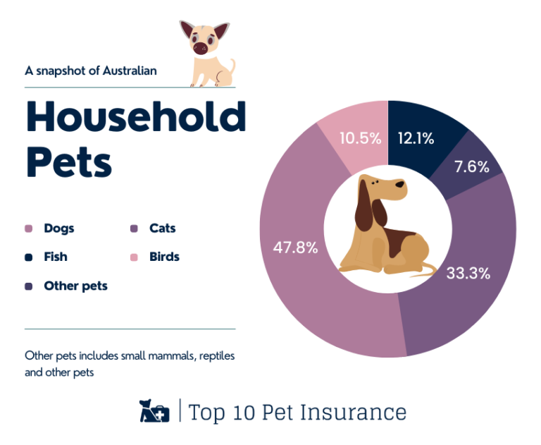 Pet Ownership Statistics Australia for 2025 - Top10PetInsurance.com.au